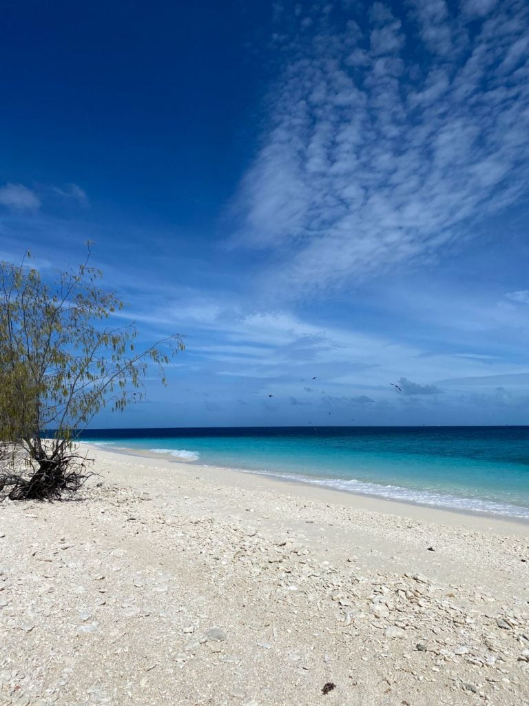 With love from Wilson Island - The Gladstone Region